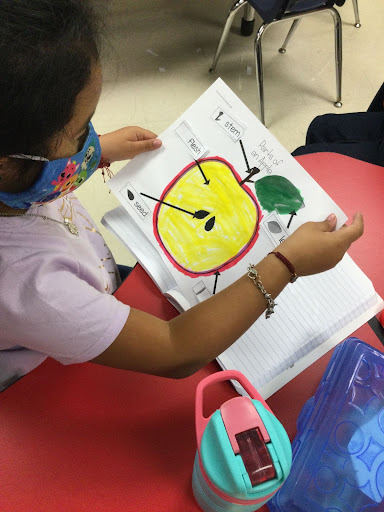 *Kindergarten | Carnahan Elementary School Northside Independent School ...