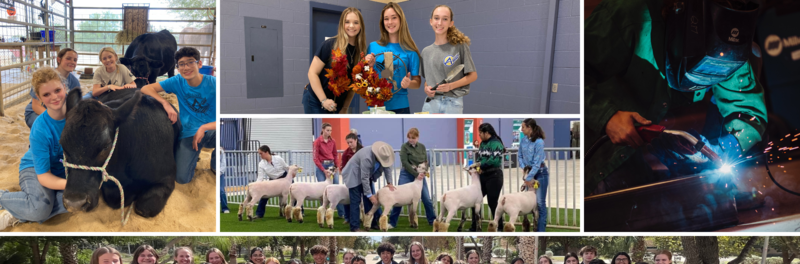About | Northside Independent School District